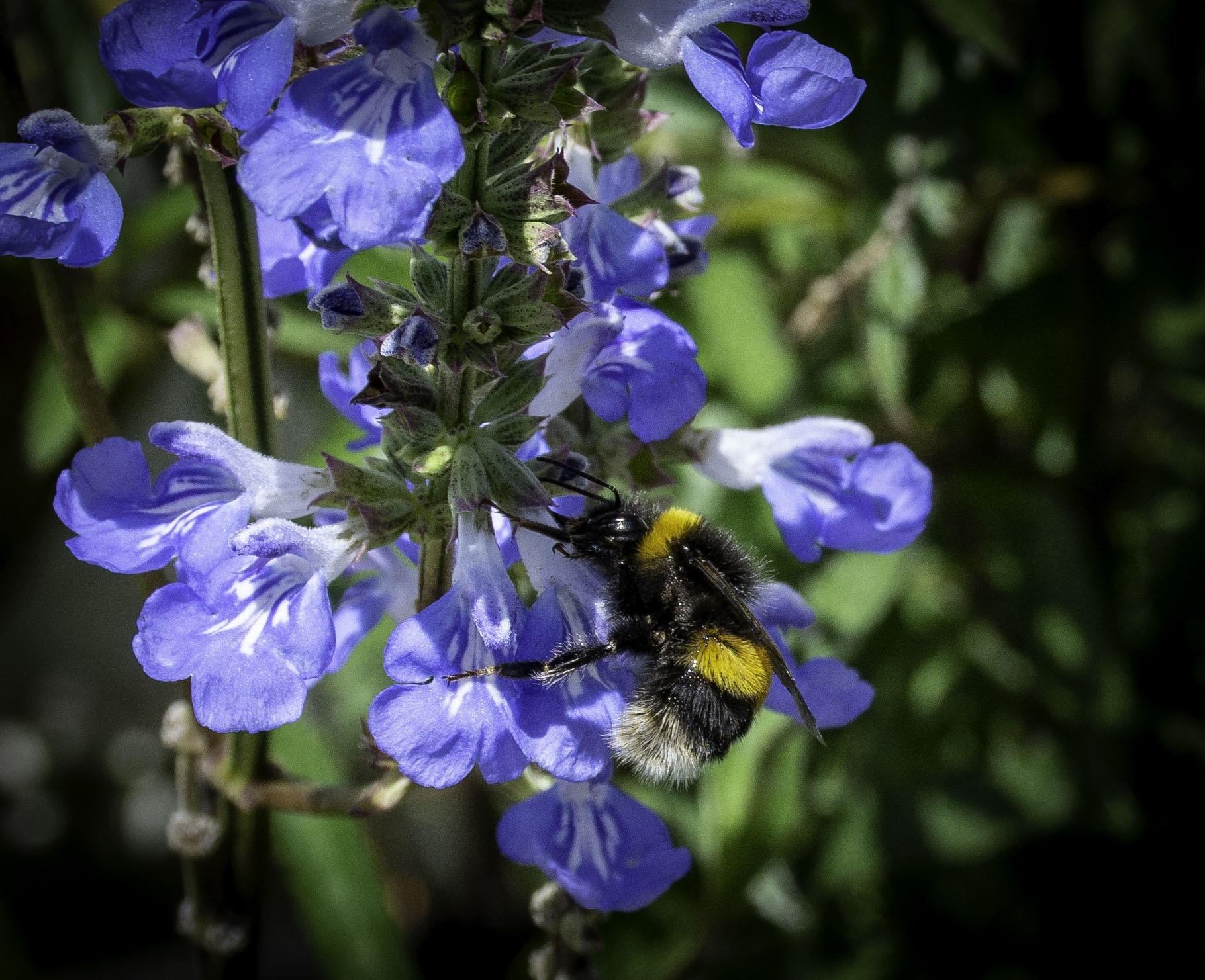 Give a hive a home! | Beekeeping Perth