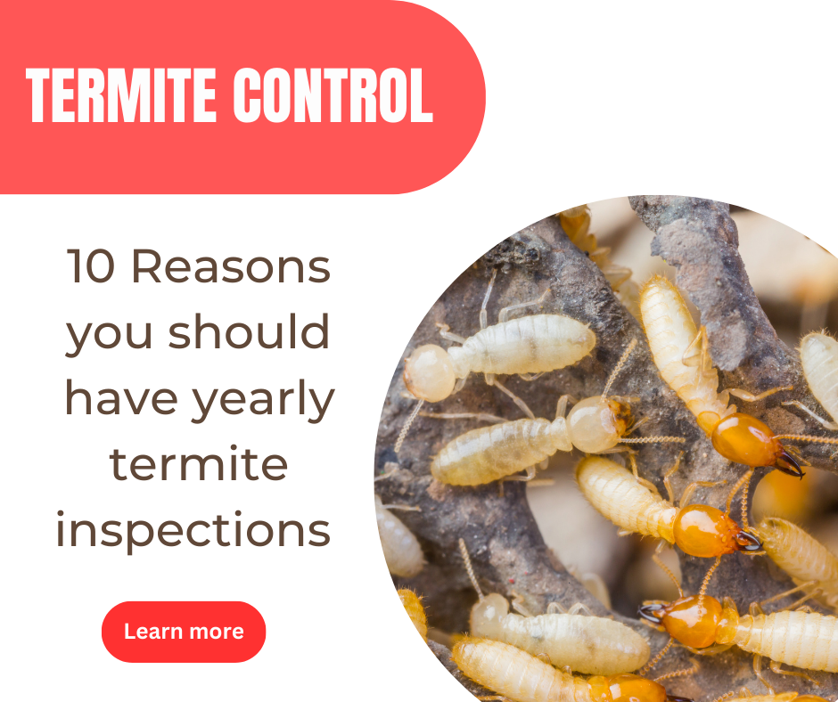 Termite Inspections are an essential part of home maintenance!