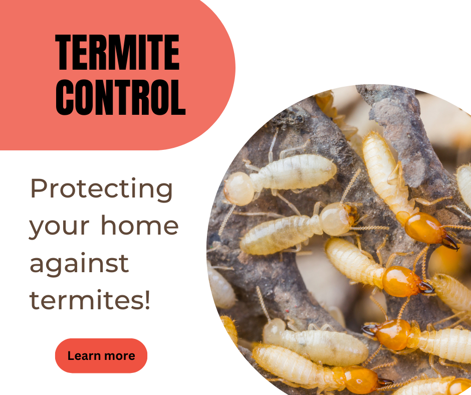Protecting your home against termites