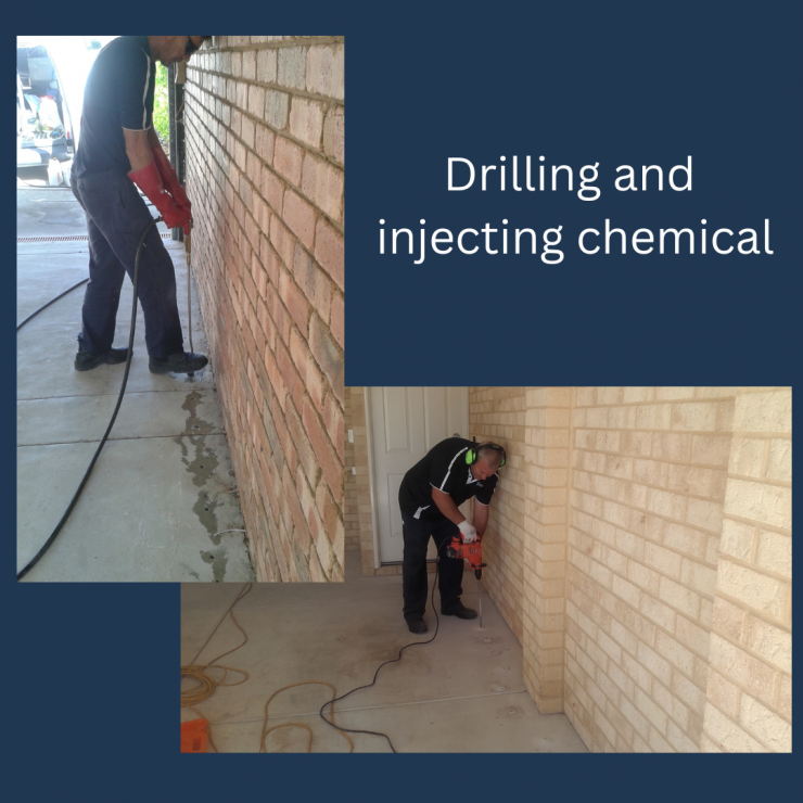 Get ready for your termite treatment | Termico Pest Management