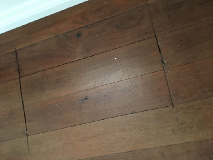 Get ready for your termite treatment | Termico Pest Management